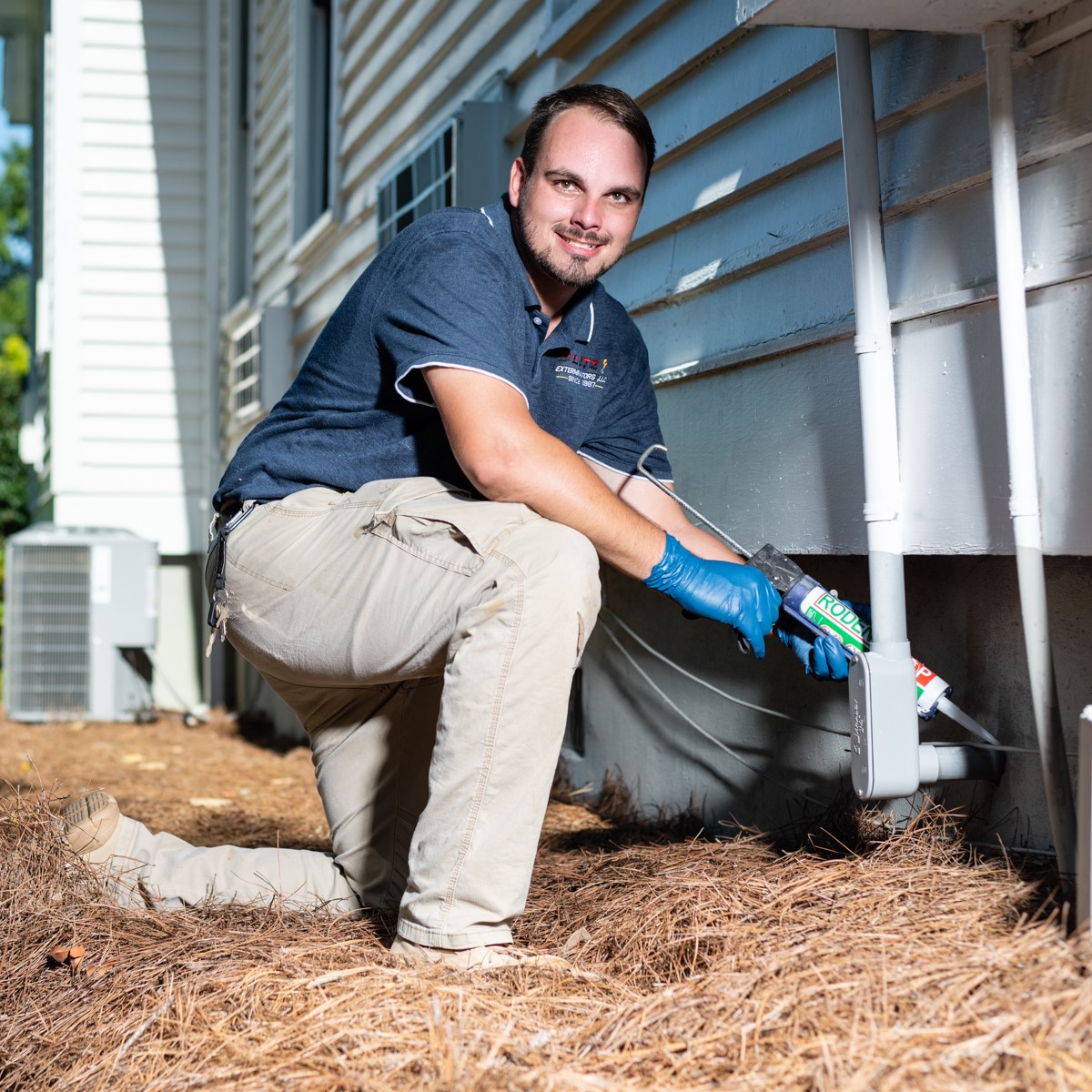 About Us - Blitz Exterminators